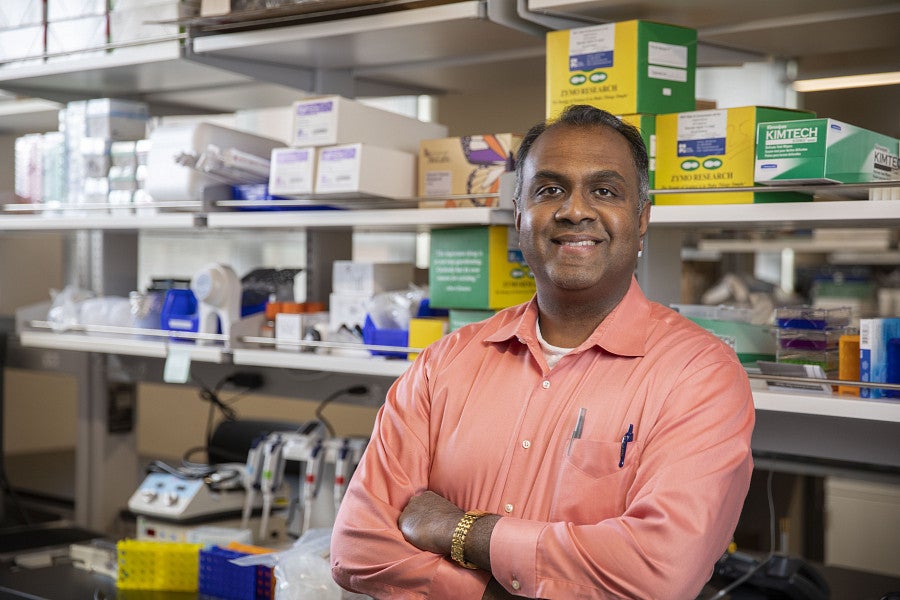 Ophthalmic Researcher Bala Ambati Receives Federal–Industry Award to ...