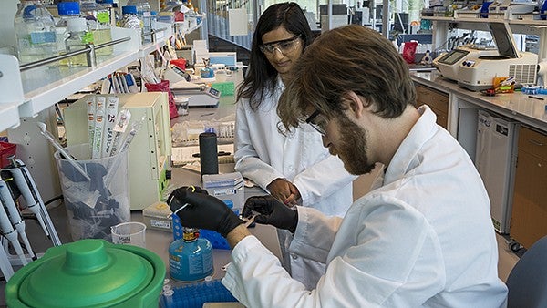 Bioengineering | UO Knight Campus