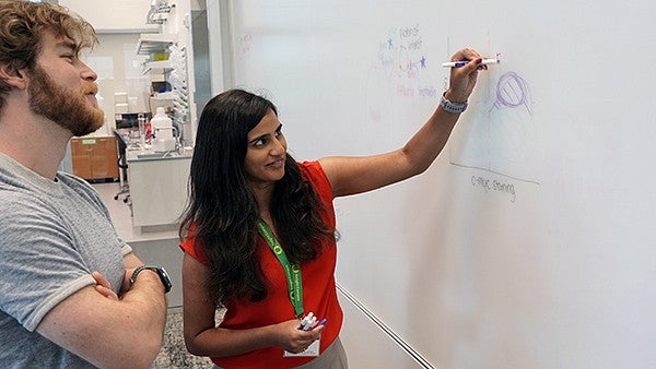 Bioengineering | UO Knight Campus